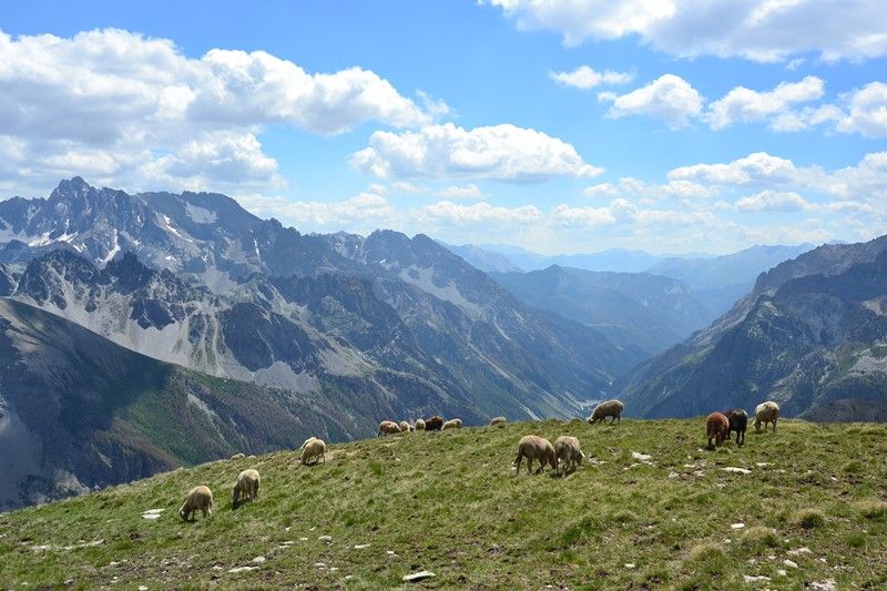 Tour of the Ubaye - Hidden French and Italian Alps